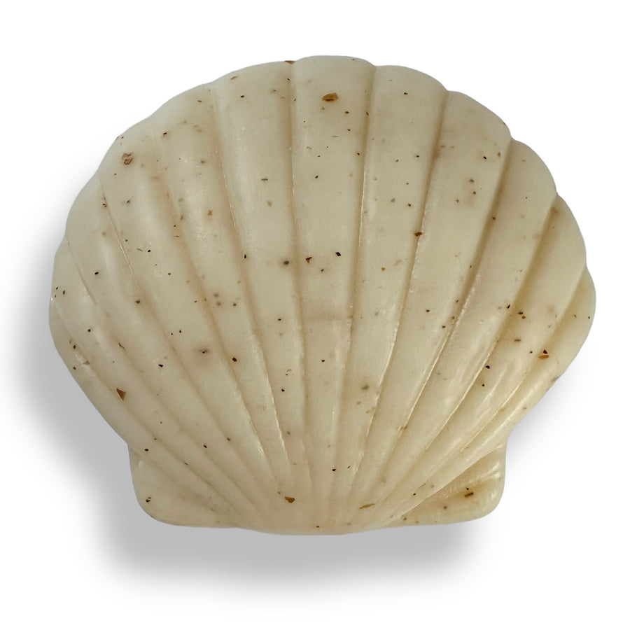 GREENWICH BAY Trading Company SEA SHELL Shea Butter SOAPS 4.3 oz