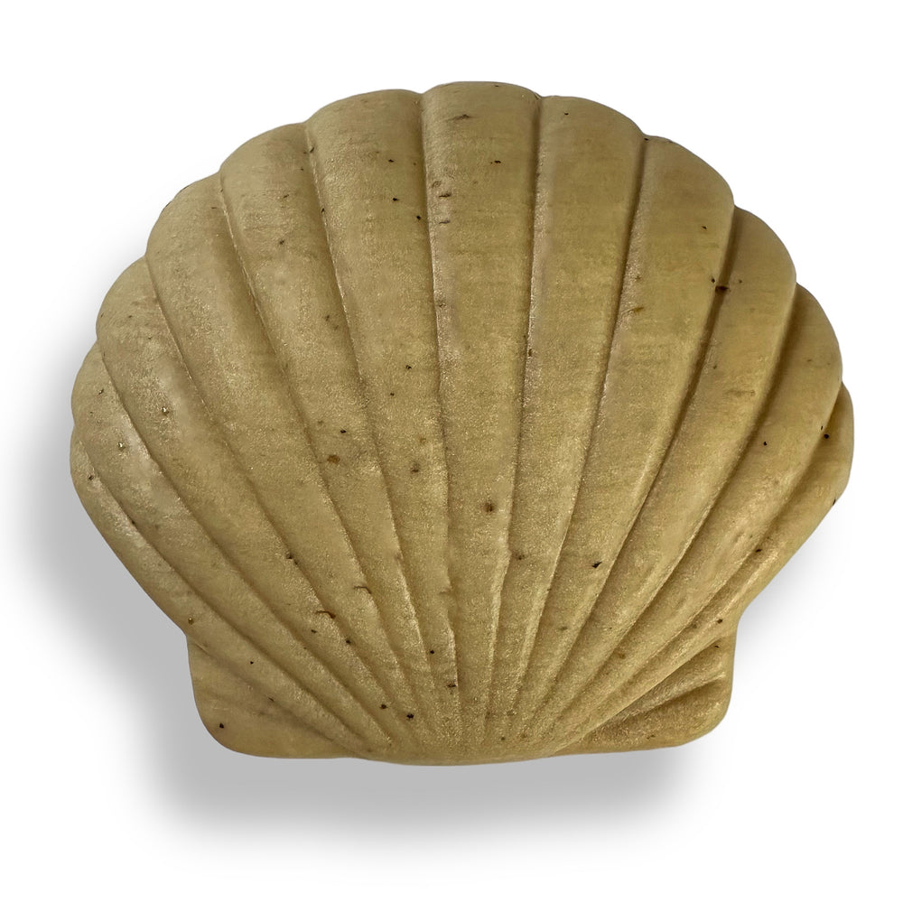 GREENWICH BAY Trading Company SEA SHELL Shea Butter SOAPS 4.3 oz
