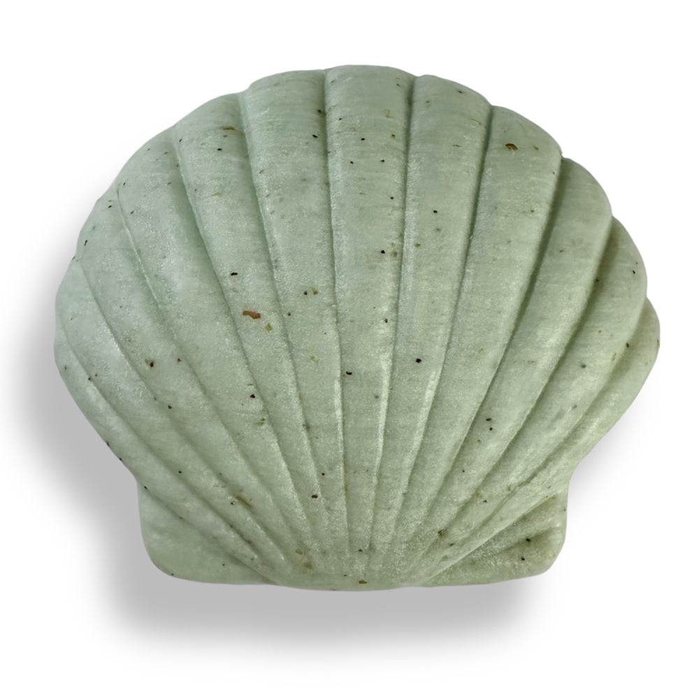 GREENWICH BAY Trading Company SEA SHELL Shea Butter SOAPS 4.3 oz